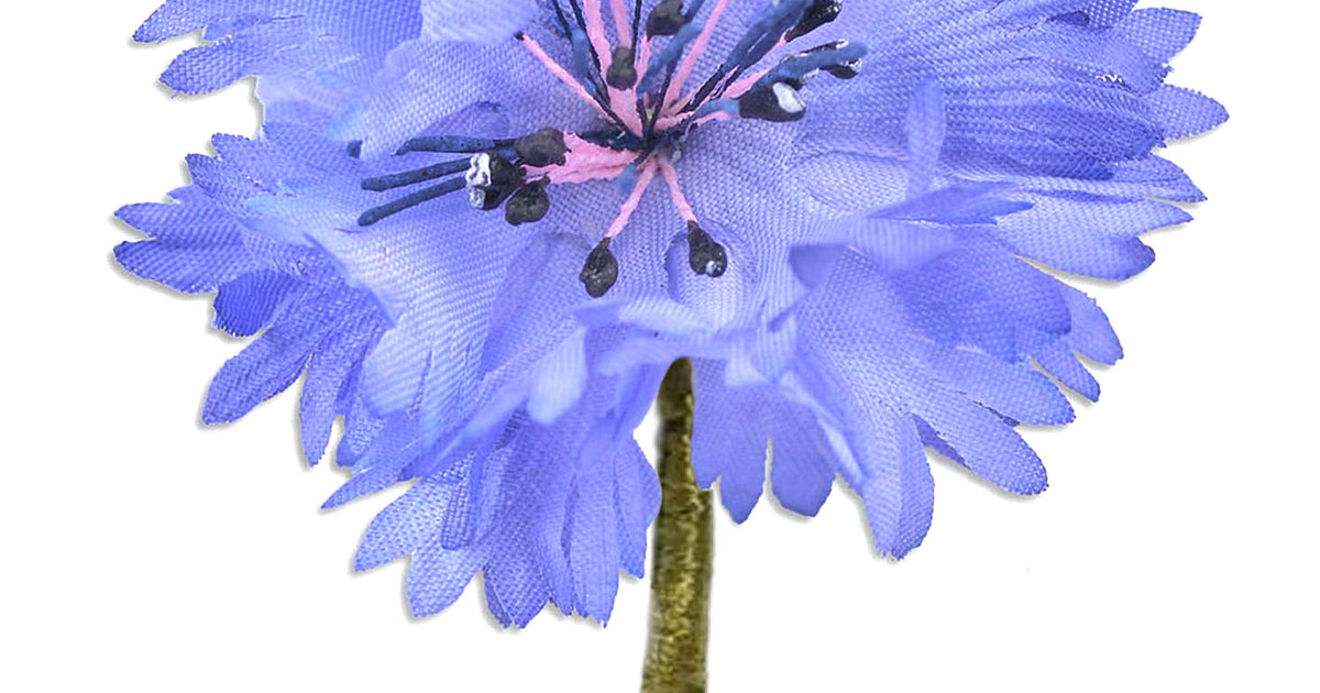 blue cornflower buttonhole