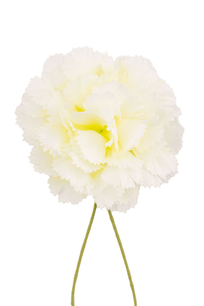 white carnation buttonhole
