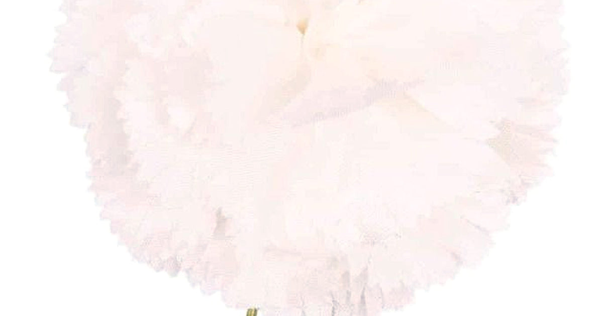 Ivory Carnation Boutonniere Buttonhole Flower by Fort Belvedere ...