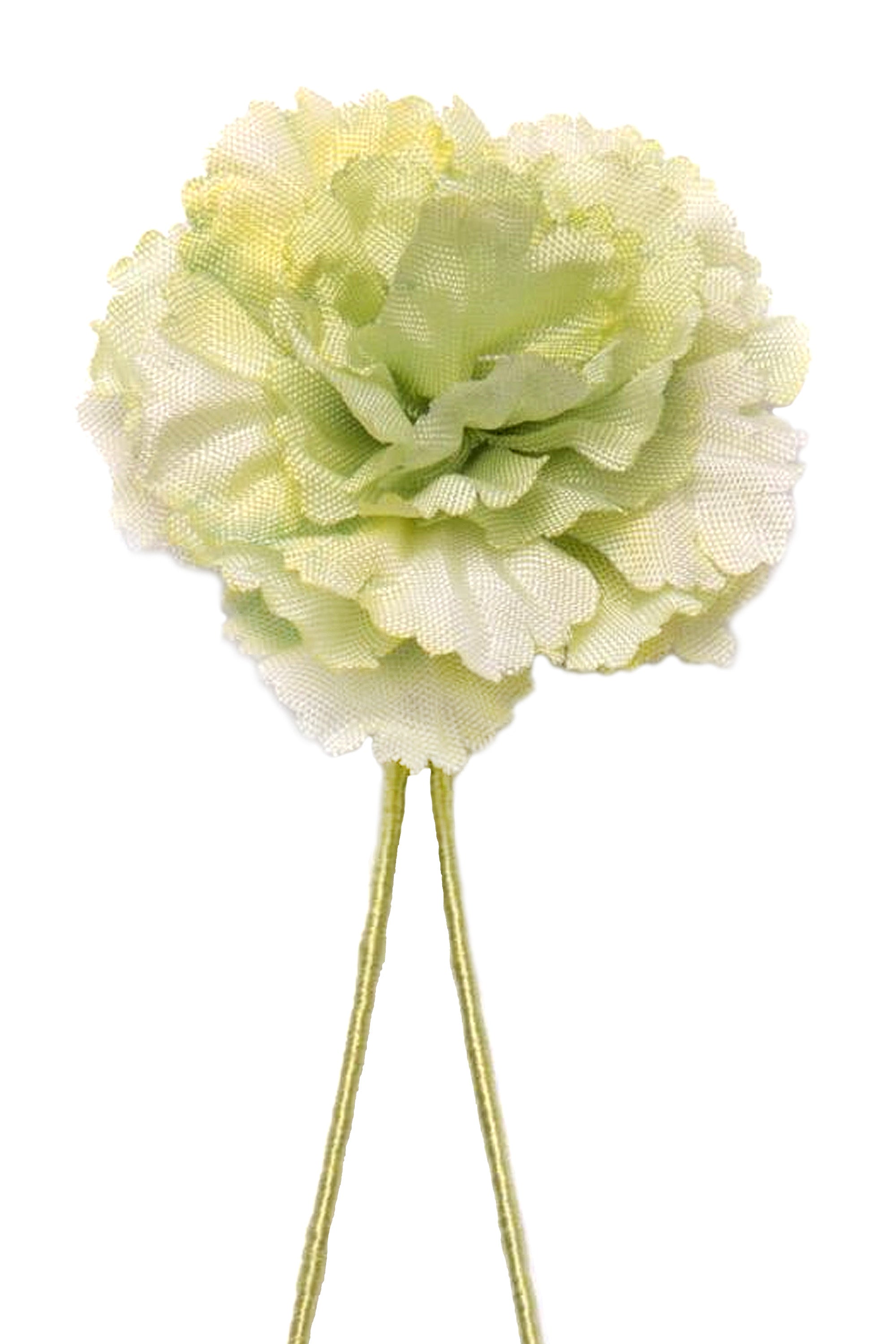 Carnation Boutonnieres – Gentleman's Gazette