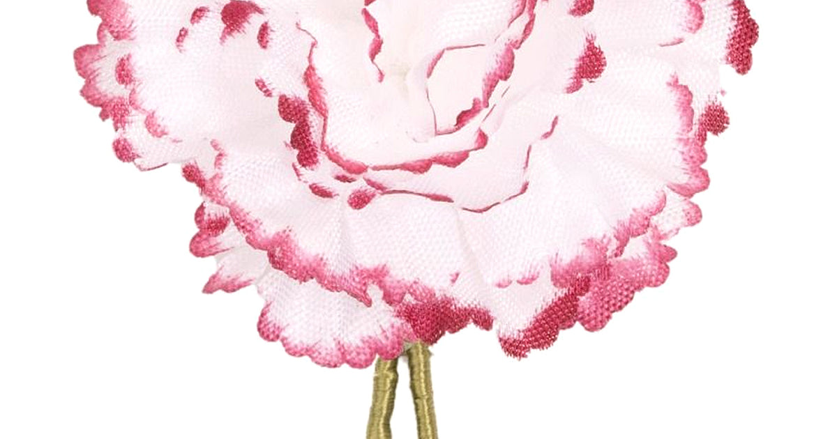 White and Magenta Carnation Boutonniere Buttonhole Flower by Fort ...