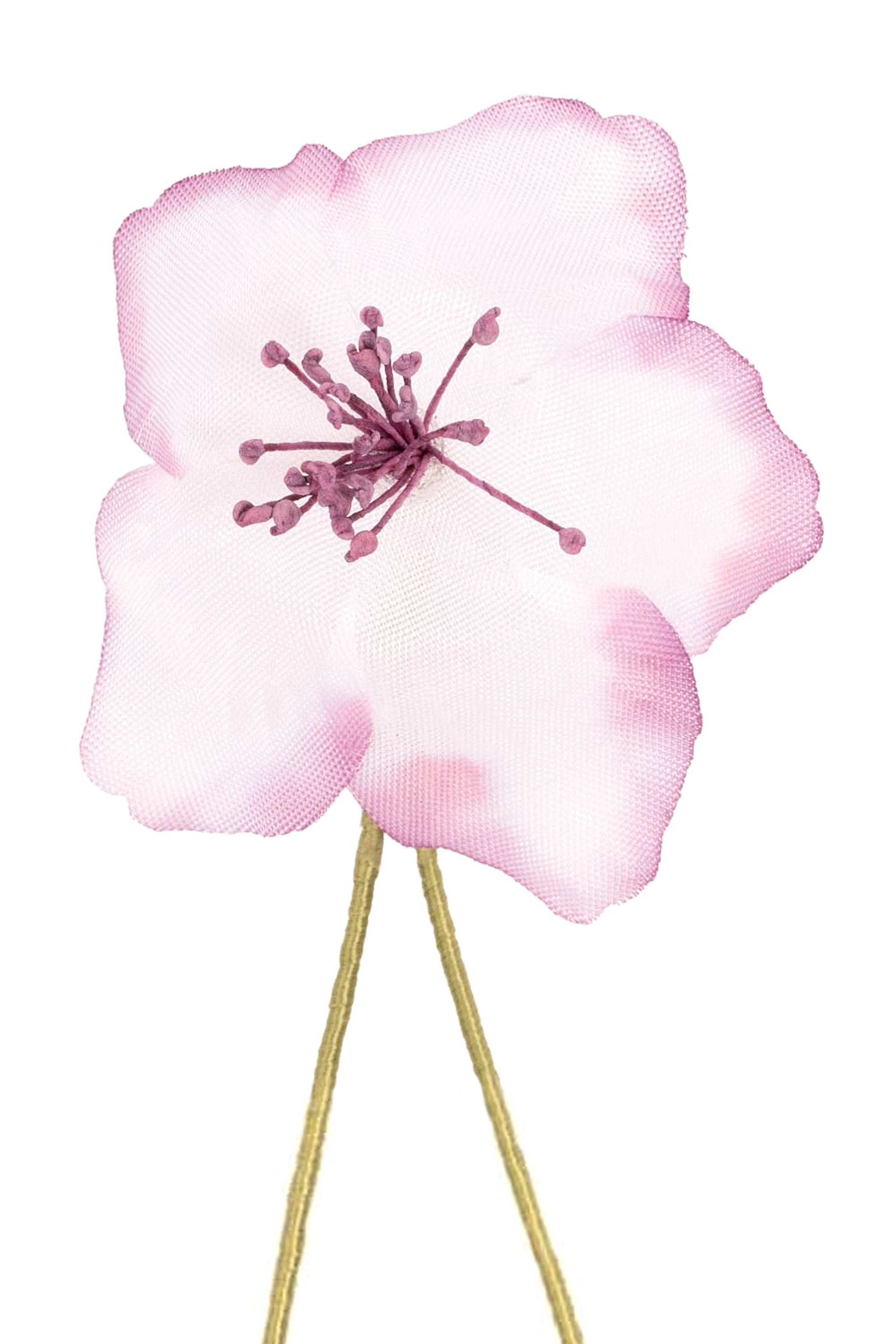 White and Violet Christmas Rose Boutonniere Buttonhole Flower by Fort ...
