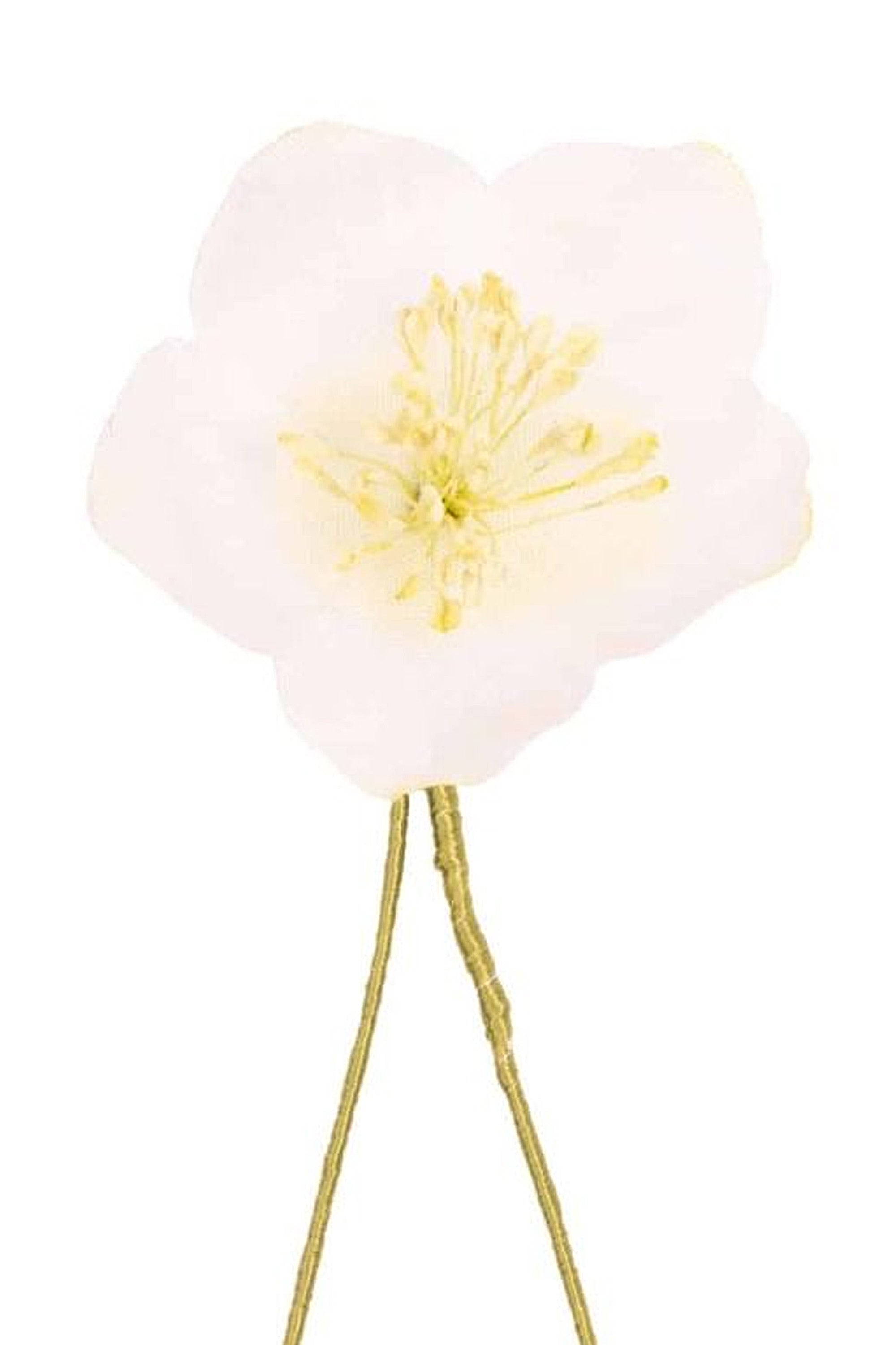 White Christmas Rose Boutonniere Buttonhole Flower by Fort Belvedere ...